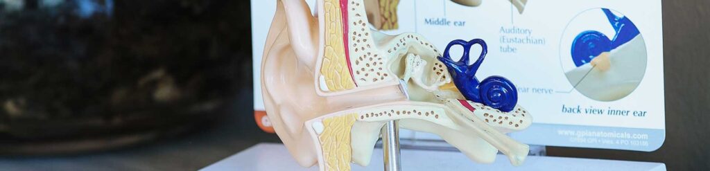 ENT Conditions and Diseases, ENT Diseases List - Melbourne ENT Group